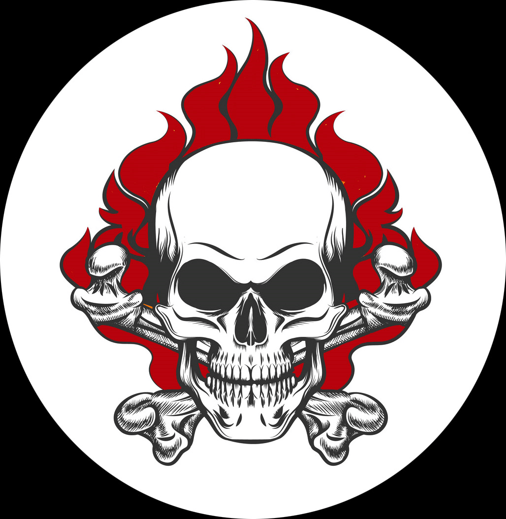 Custom LED Side Mirror Projector Puddle Approach Lights for Ford F150 ...