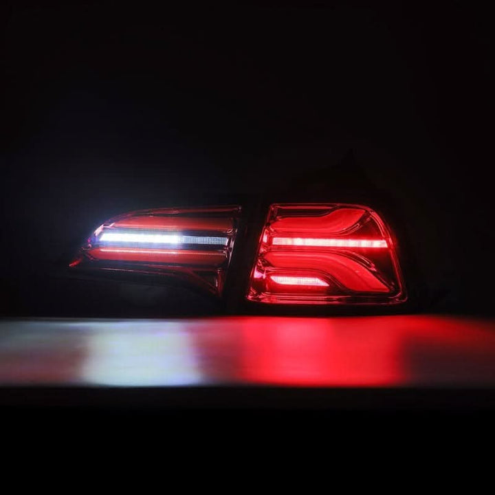 Amber Fx 2024 Red Light